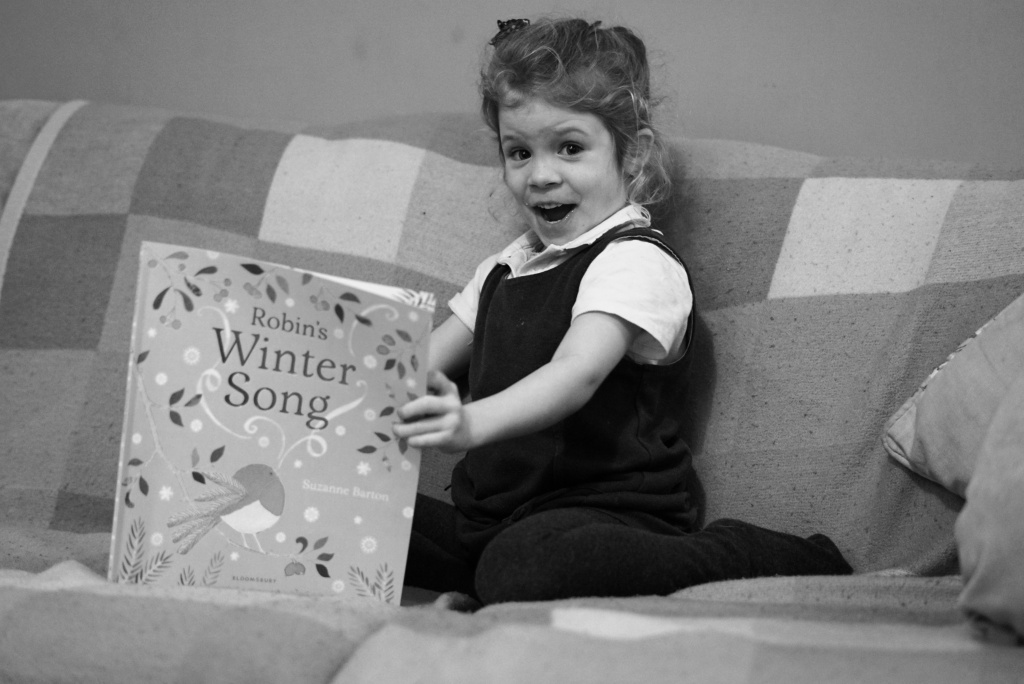 Robin's Winter Song - a beautiful snowy story - MummyConstant