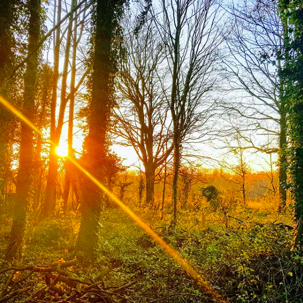 January photo challenge 2020: my favourite photos - MummyConstant