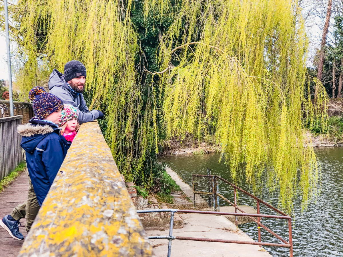 March photo challenge 2020: my favourite photos - MummyConstant