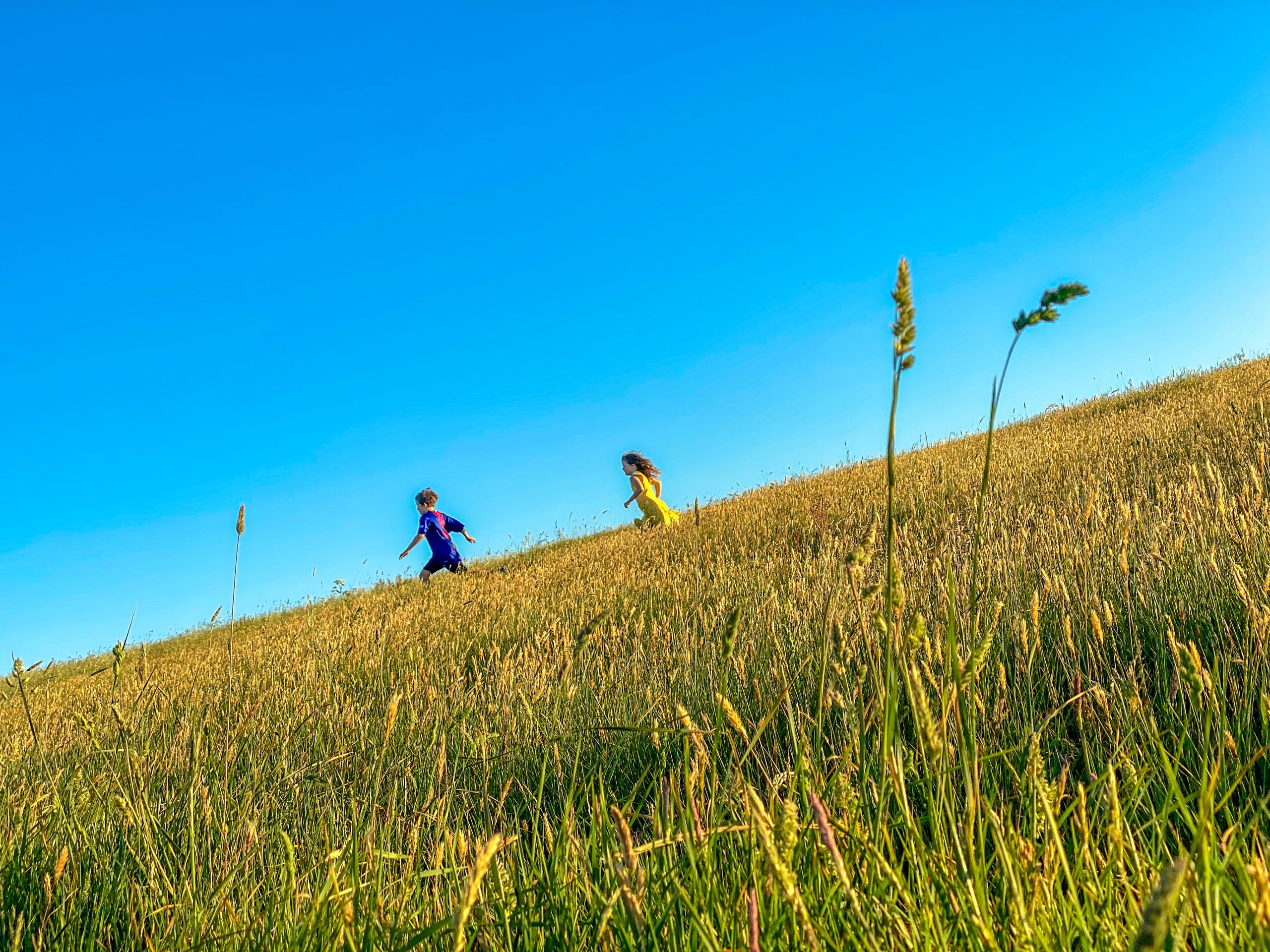 June photo challenge 2020 #MummyPhotoADay - MummyConstant